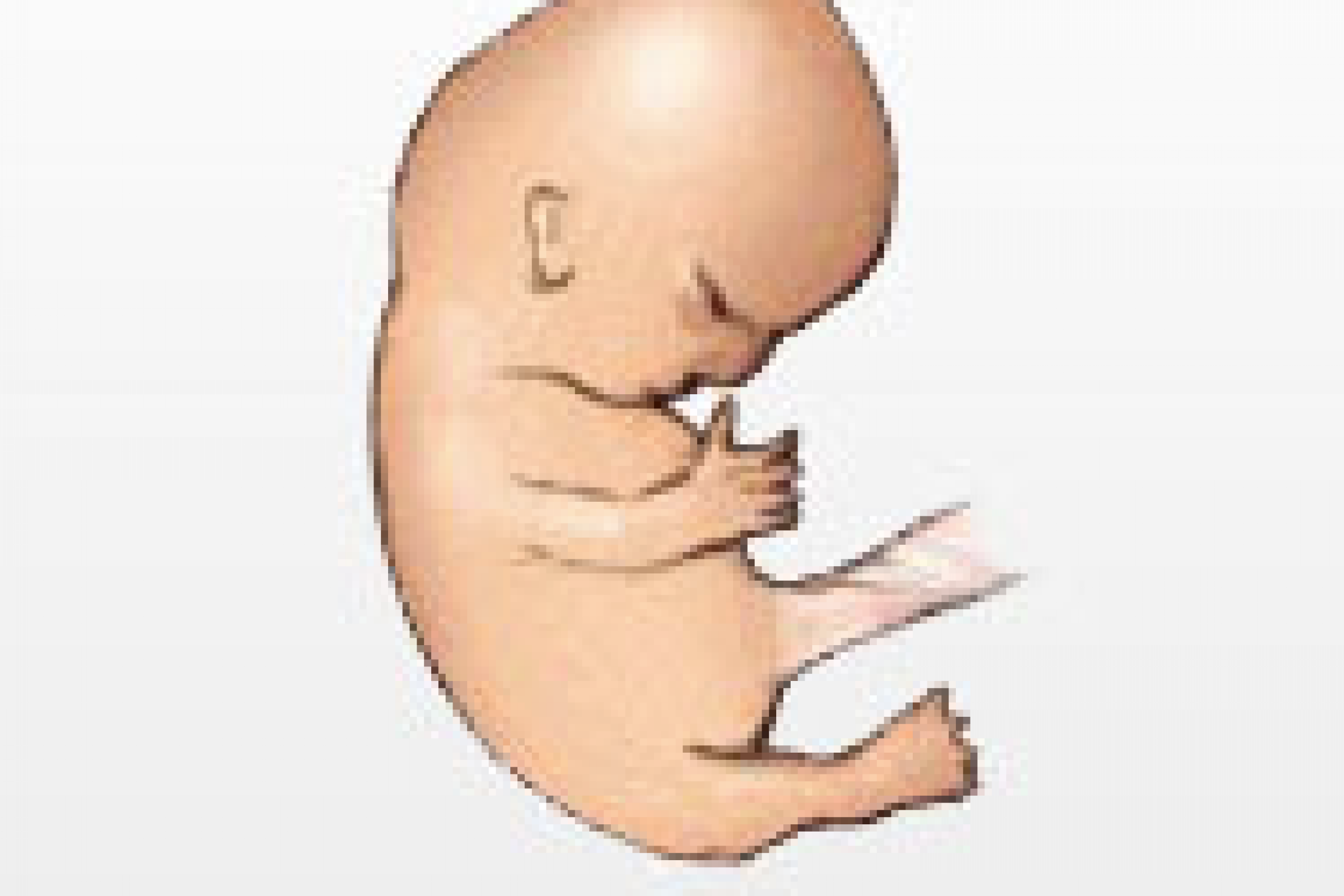 Ο πολιτικός μας γάμος στην όμορφη Αρναία - Eimaimama.gr