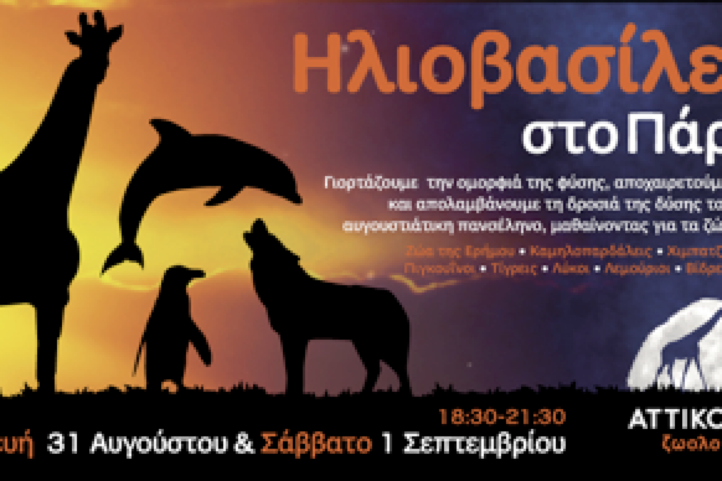 ΜΟΥΣΕΙΟ ΑΝΘΡΩΠΙΝΟΥ ΣΩΜΑΤΟΣ - "HUMAN BODY MUSEUM" - Eimaimama.gr