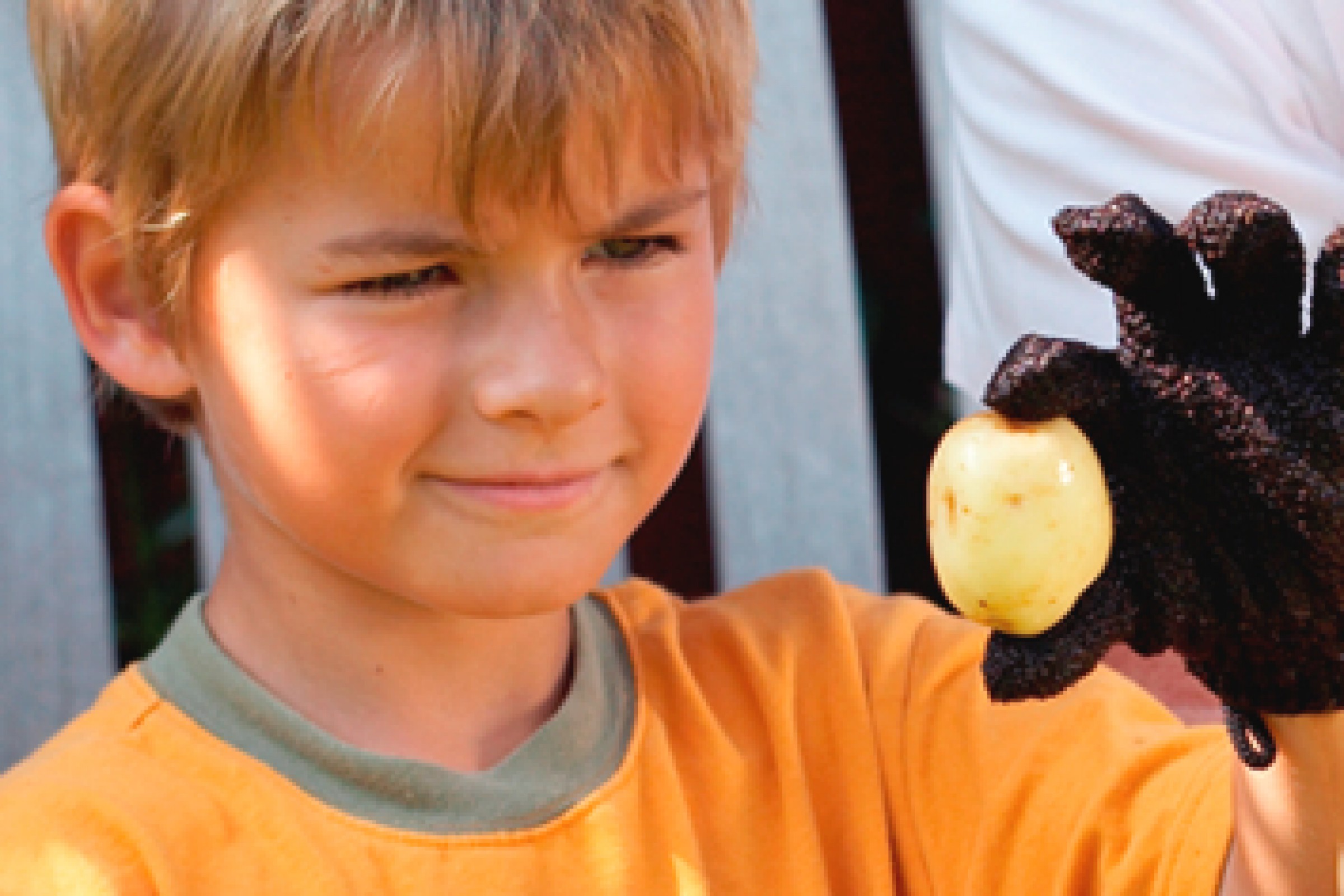 Κρικάκια καρότου - Eimaimama.gr
