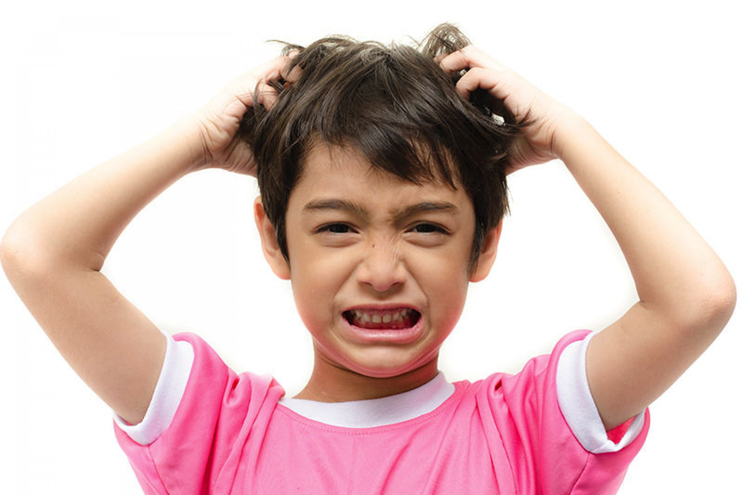 Πώς διαβάζω την Ιστορία; Η δασκάλα Ράνια μας δίνει τα 5 βήματα για ξεκούραστο διάβασμα ...