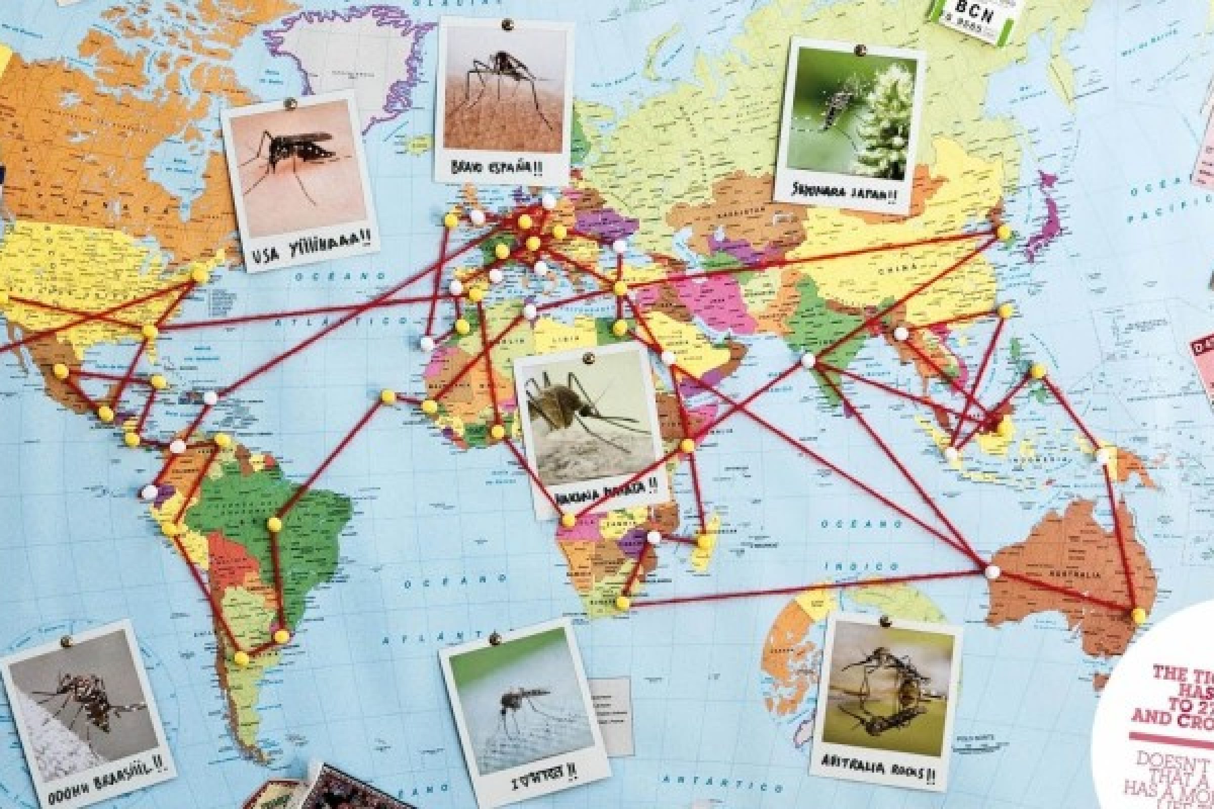 Φτιάχνουμε βραχιολάκια φιλίας - Eimaimama.gr