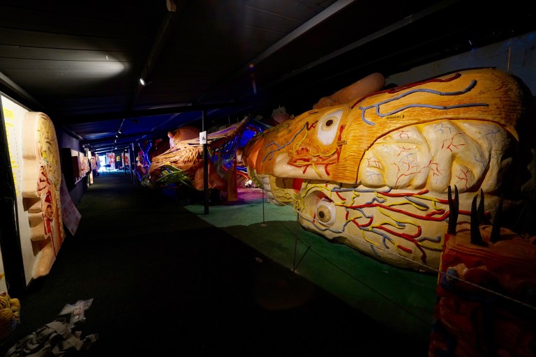 ΜΟΥΣΕΙΟ ΑΝΘΡΩΠΙΝΟΥ ΣΩΜΑΤΟΣ - "HUMAN BODY MUSEUM" - Eimaimama.gr
